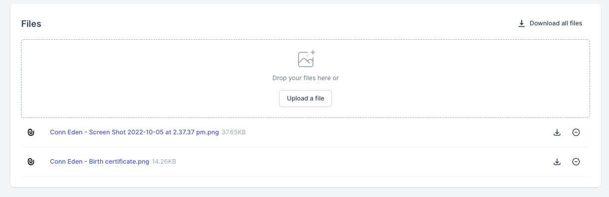 Funnel File Types and Names